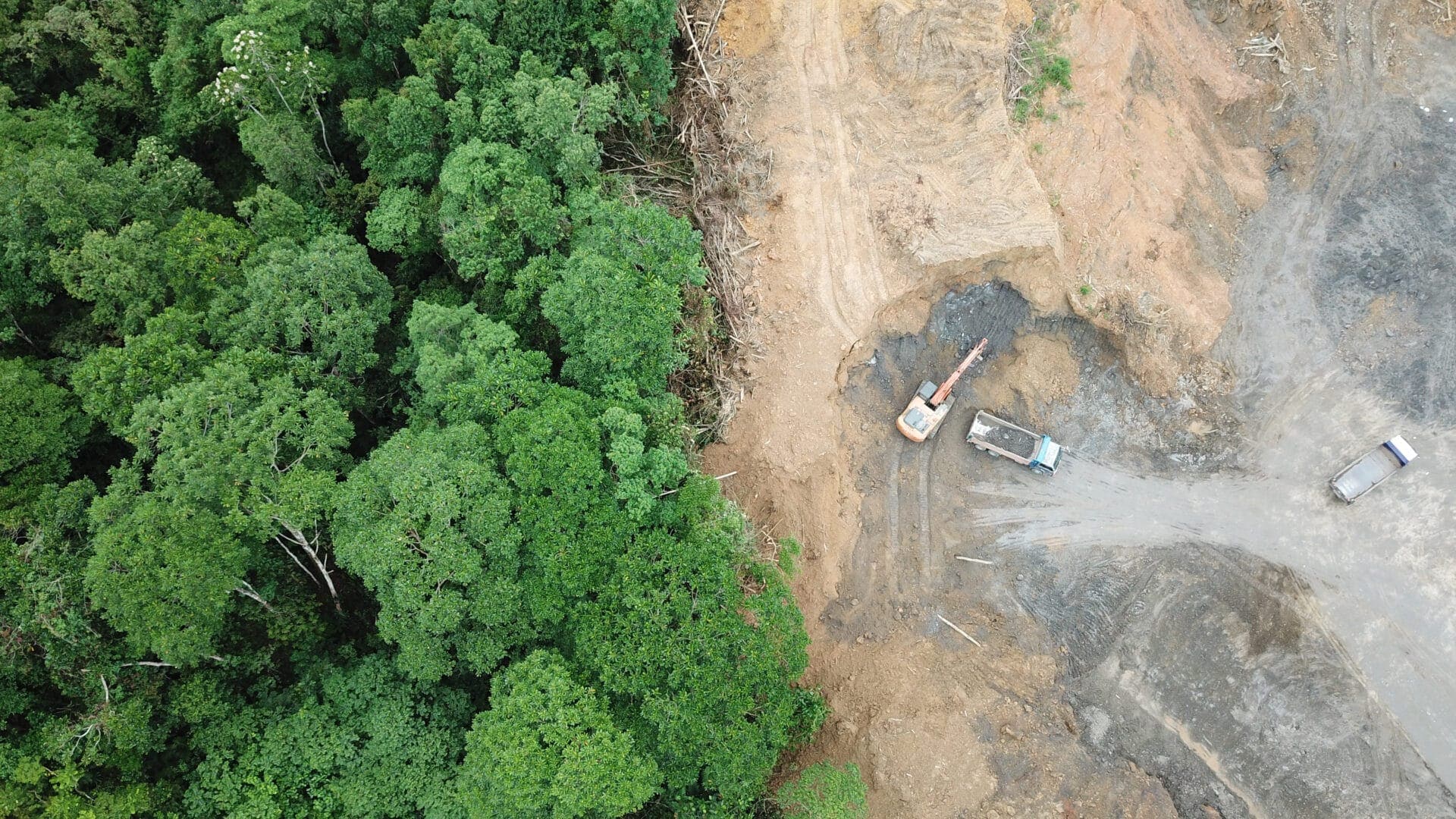 Real Time Deforestation Monitoring Aidenvironment