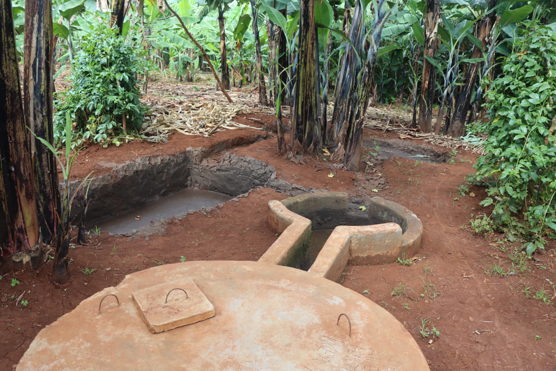 Combating climate change with biogas digesters - AidEnvironment
