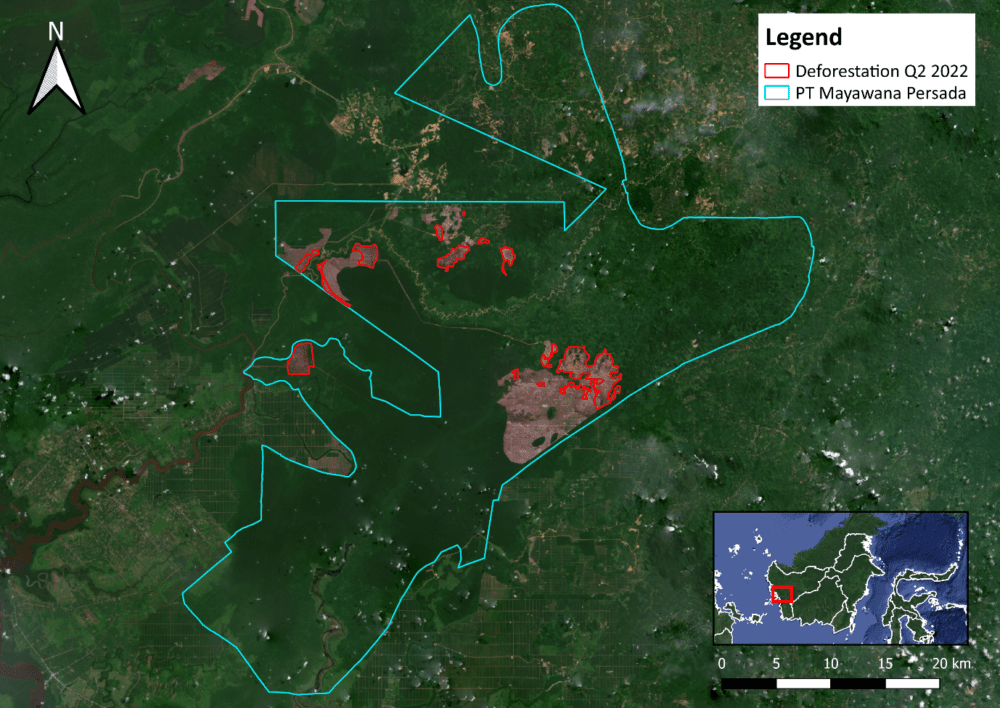 Ten largest deforesters for industrial timbers in Indonesia clear 7,000 ...