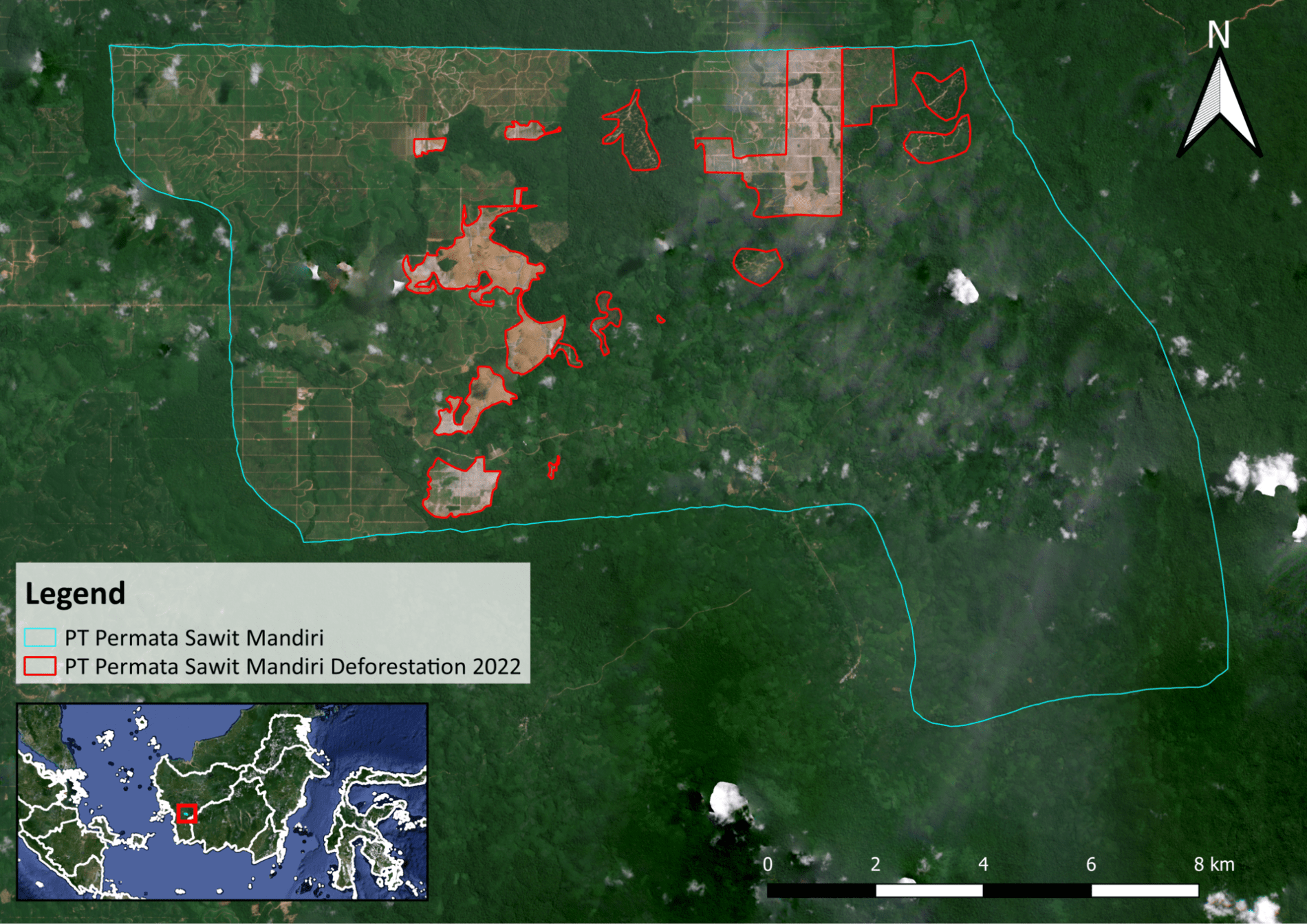 Ten oil palm concessions in Indonesia have already cleared 8,100 ...