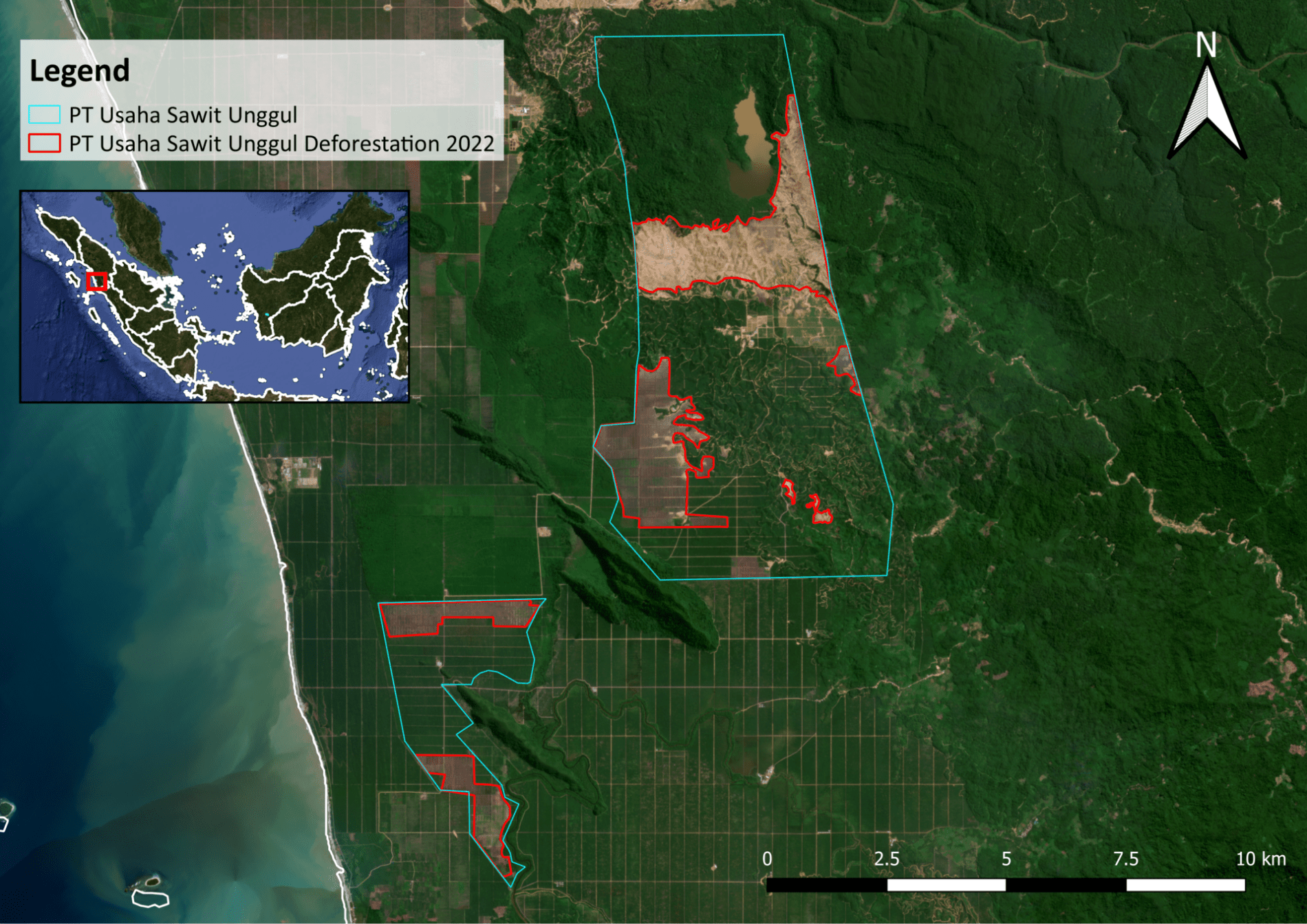 Ten oil palm concessions in Indonesia have already cleared 8,100 ...