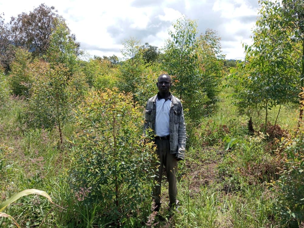 Planting Trees to Save Lives - AidEnvironment