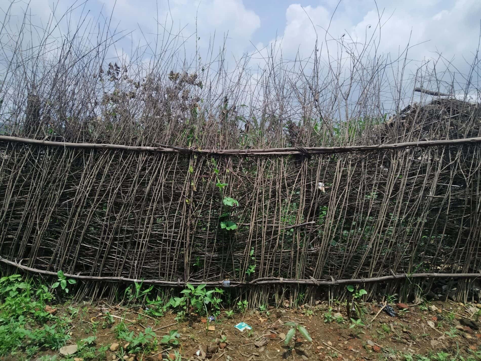 Designing regenerative cropping patterns to improve soil health ...