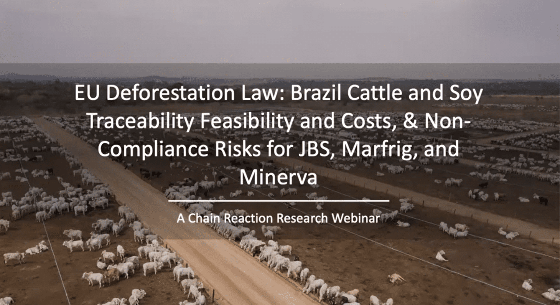 Takeaways from our webinar on soy and beef traceability and compliance with the EU Deforestation ...