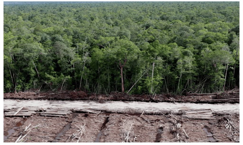 Sustainability Analysis: PT Industrial Forest Plantation - AidEnvironment