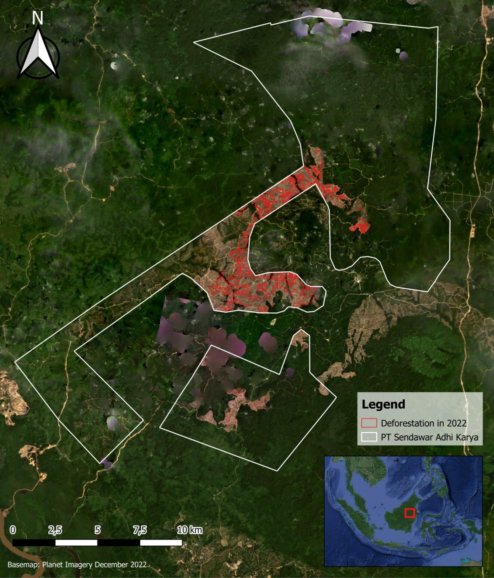 Two Companies Alone Cleared 10,600 Hectares of Indonesian Forest in ...