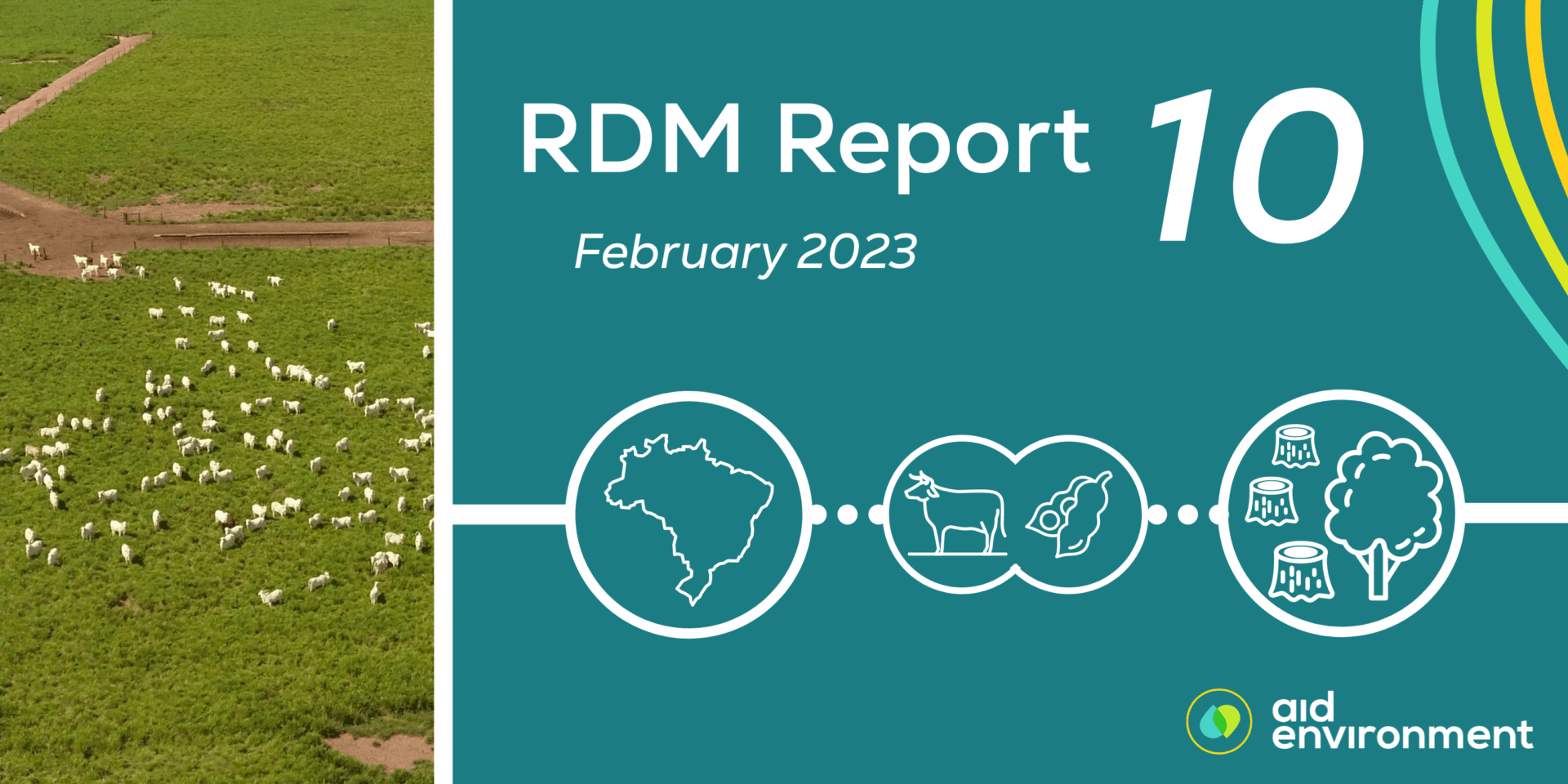 Realtime Deforestation Monitoring Report (RDM 10) - February 2023 ...