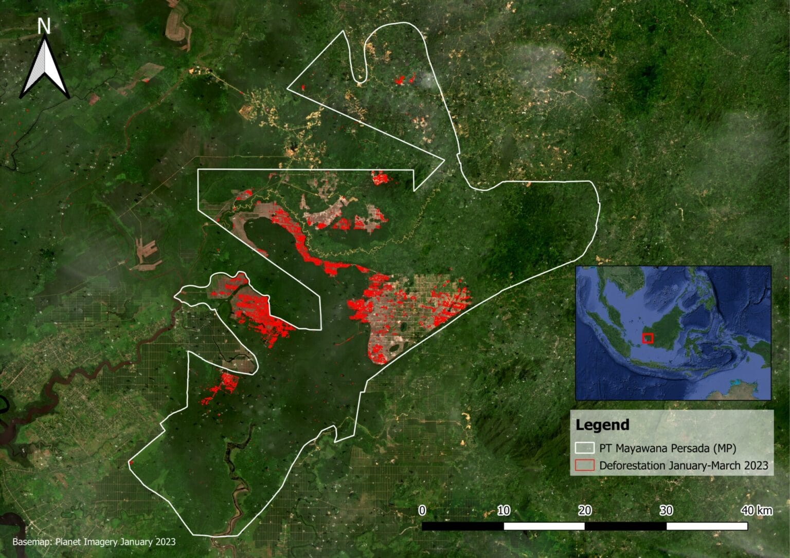 Just two companies drive 77% of deforestation in Indonesia’s industrial ...