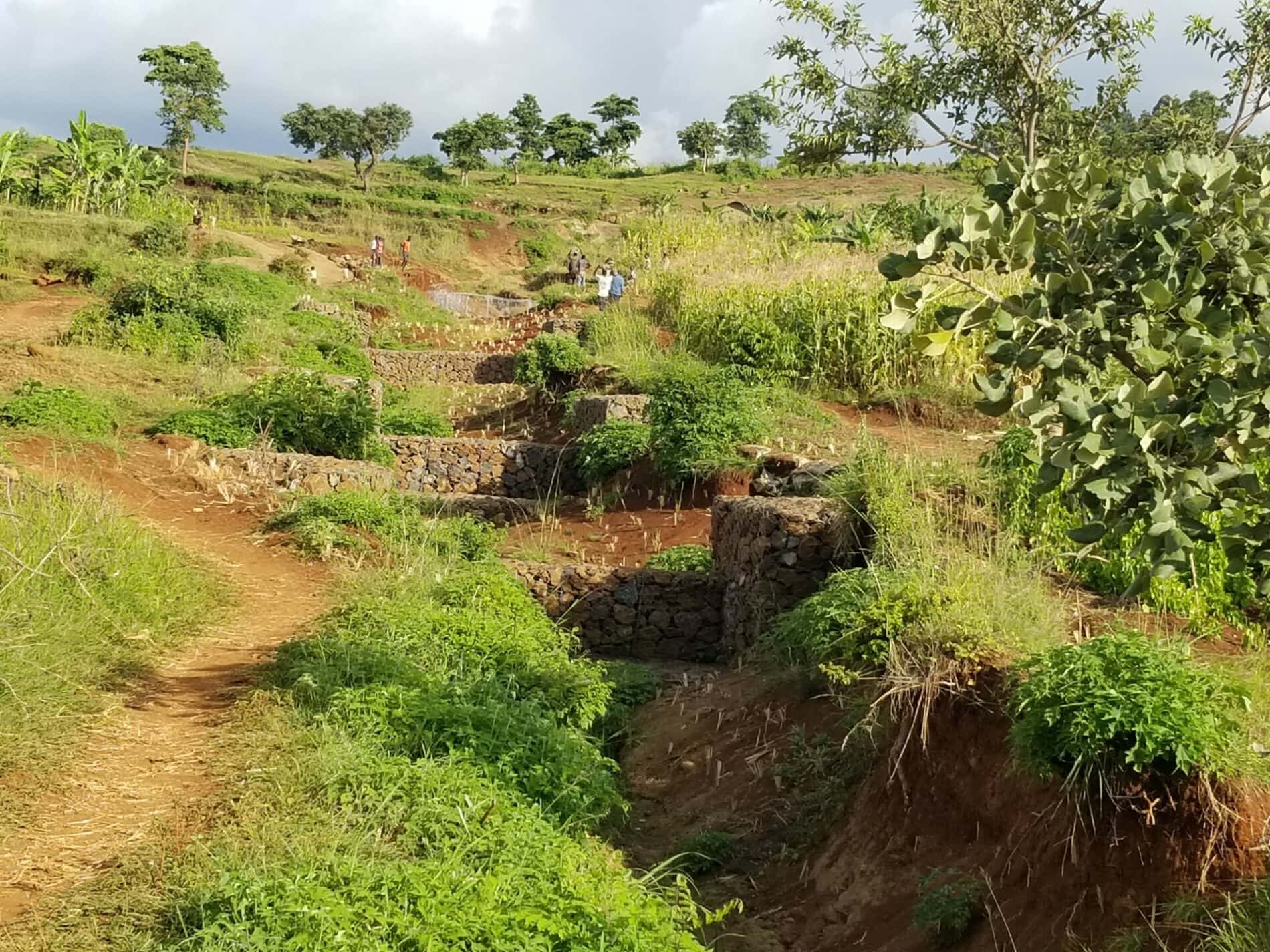 Rainwater harvesting helps address soil erosion, soil fertility, and ...