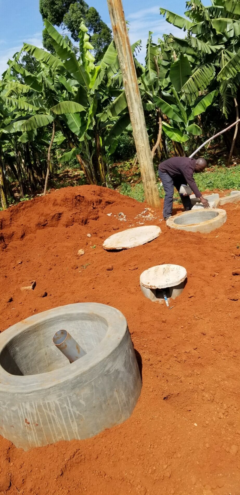 Regenerative Agriculture Green Future Farming Gains Aidenvironment