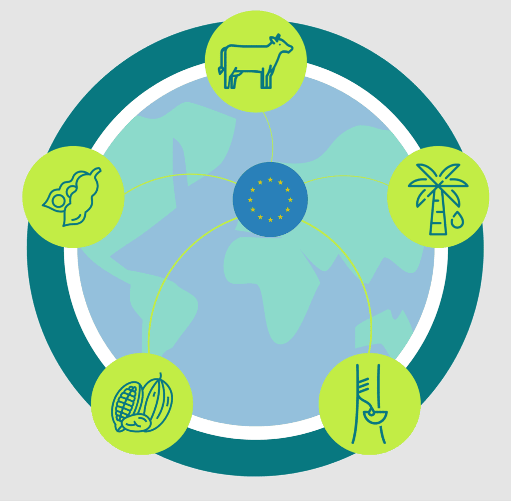 From ranch to plate: beef supply chain mapping - AidEnvironment
