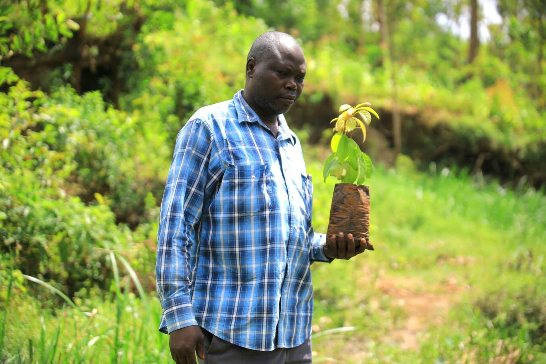Government, partners intensify restoration activities in disaster-prone ...