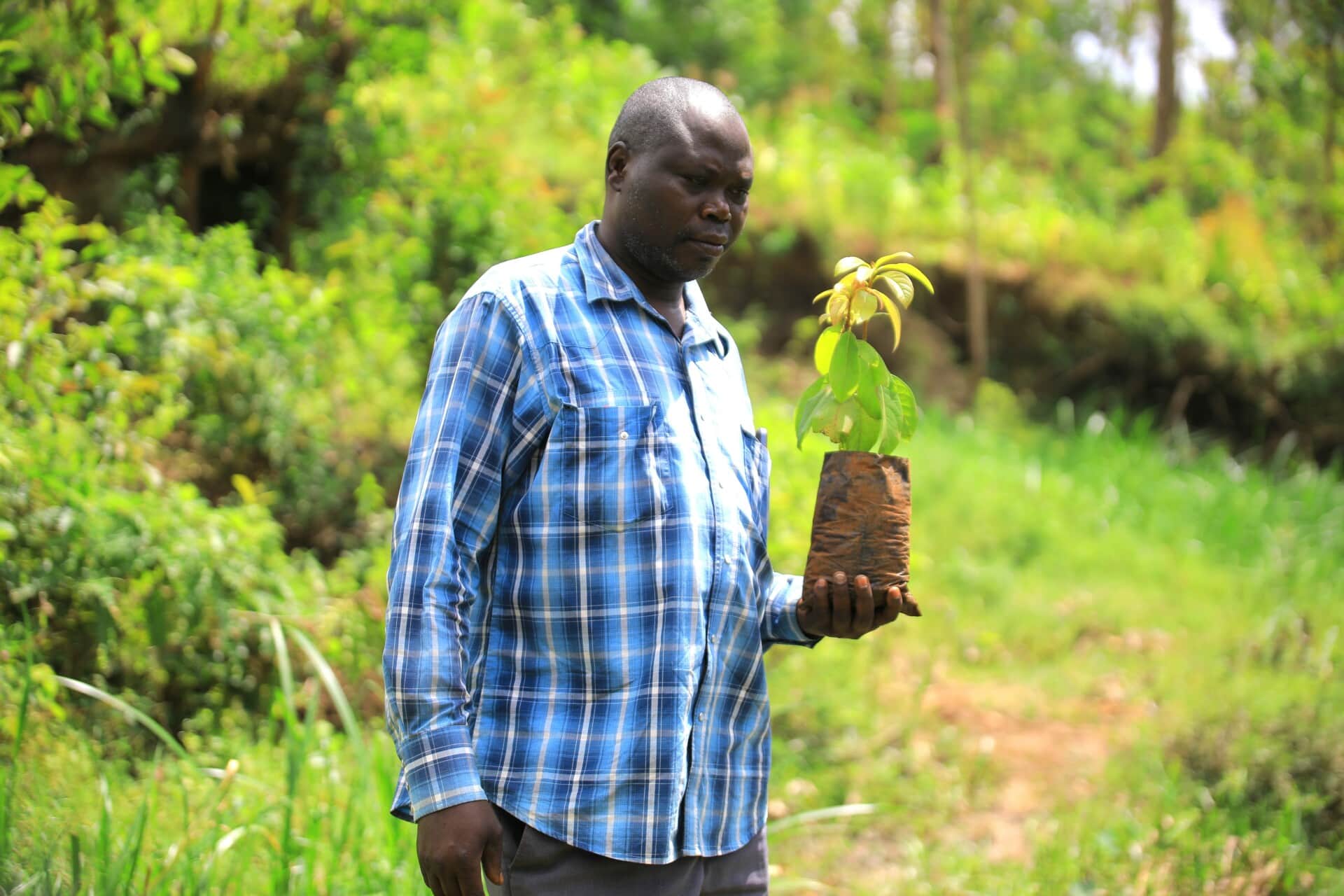 Government, partners intensify restoration activities in disaster-prone ...