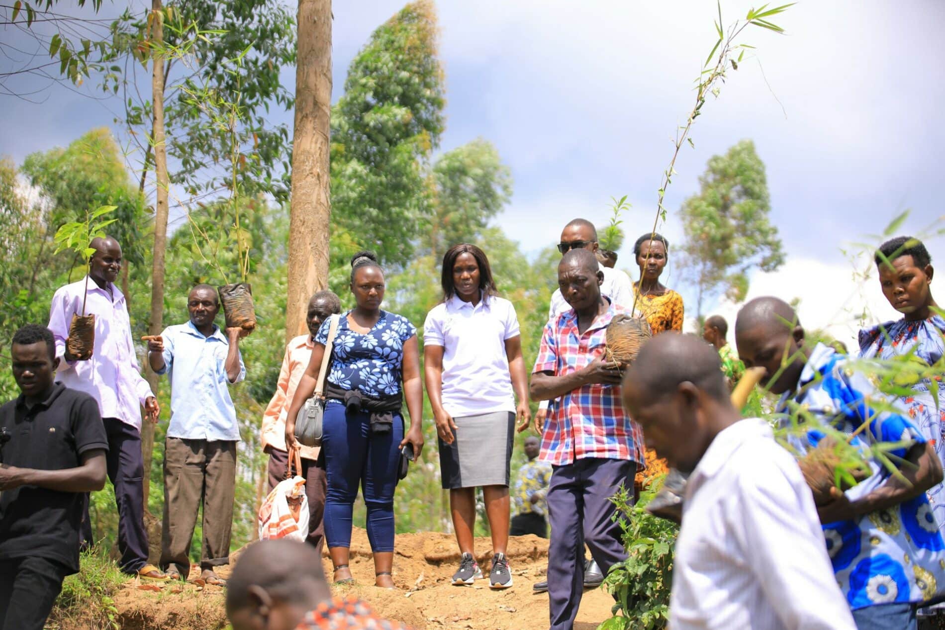 Government, partners intensify restoration activities in disaster-prone Elgon area - AidEnvironment