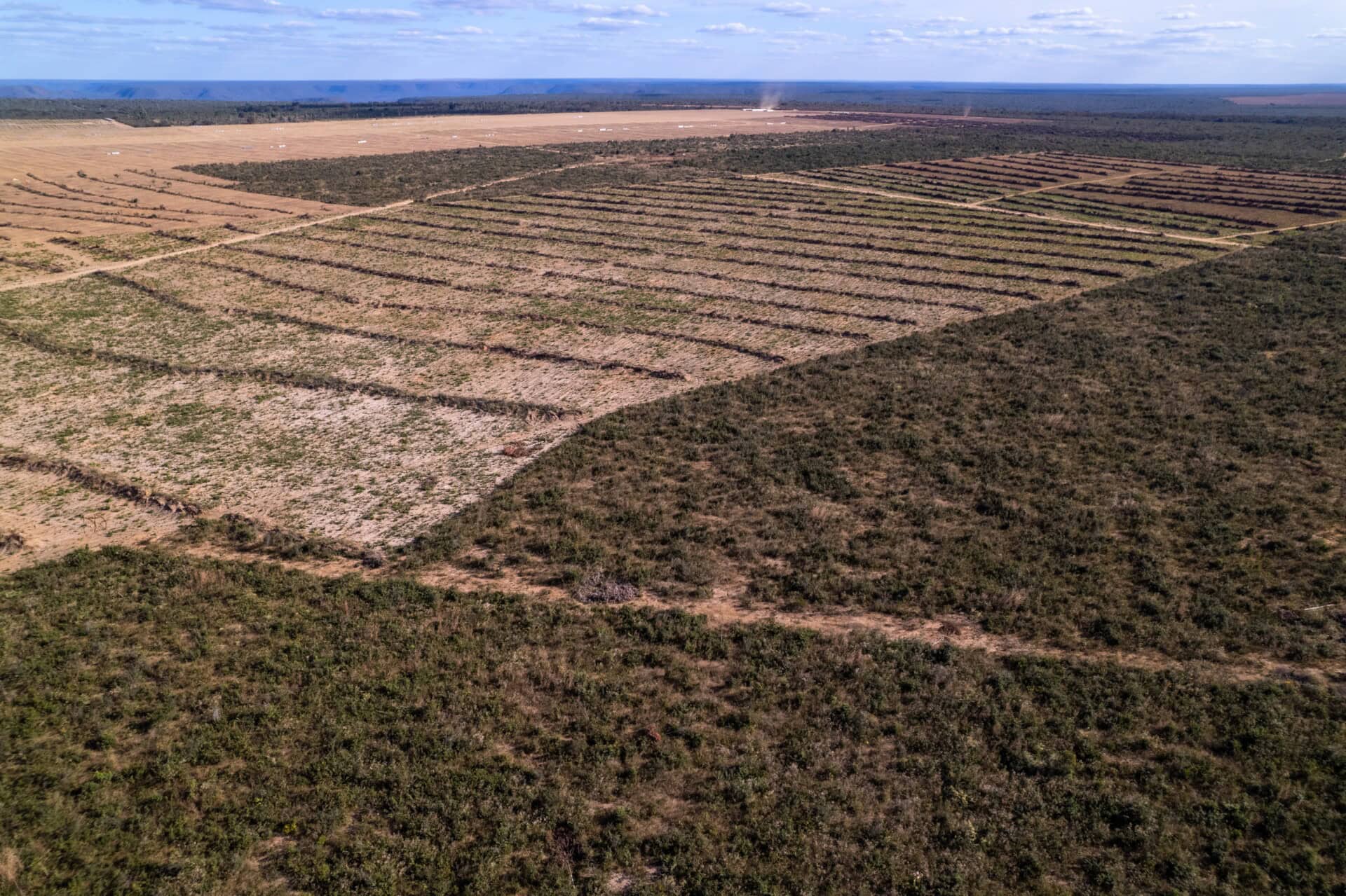 Remote Sensing Free Fulltext Mapping Deforestation Remote Sensing ... Remote Sensing Free Fulltext Mapping Deforestation Remote Sensing ...