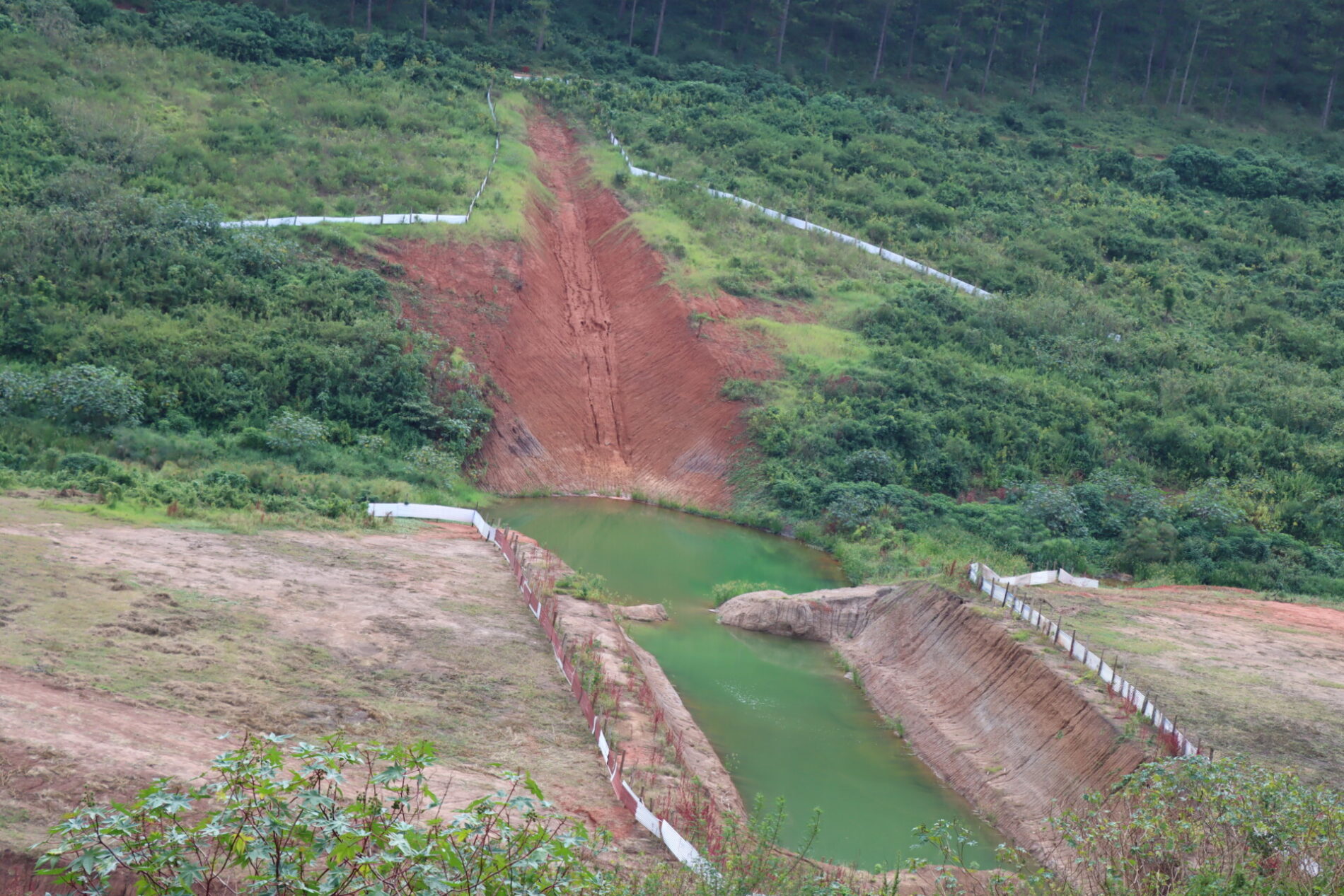 Supporting communities in implementing Afforestation and Soil & Water ...