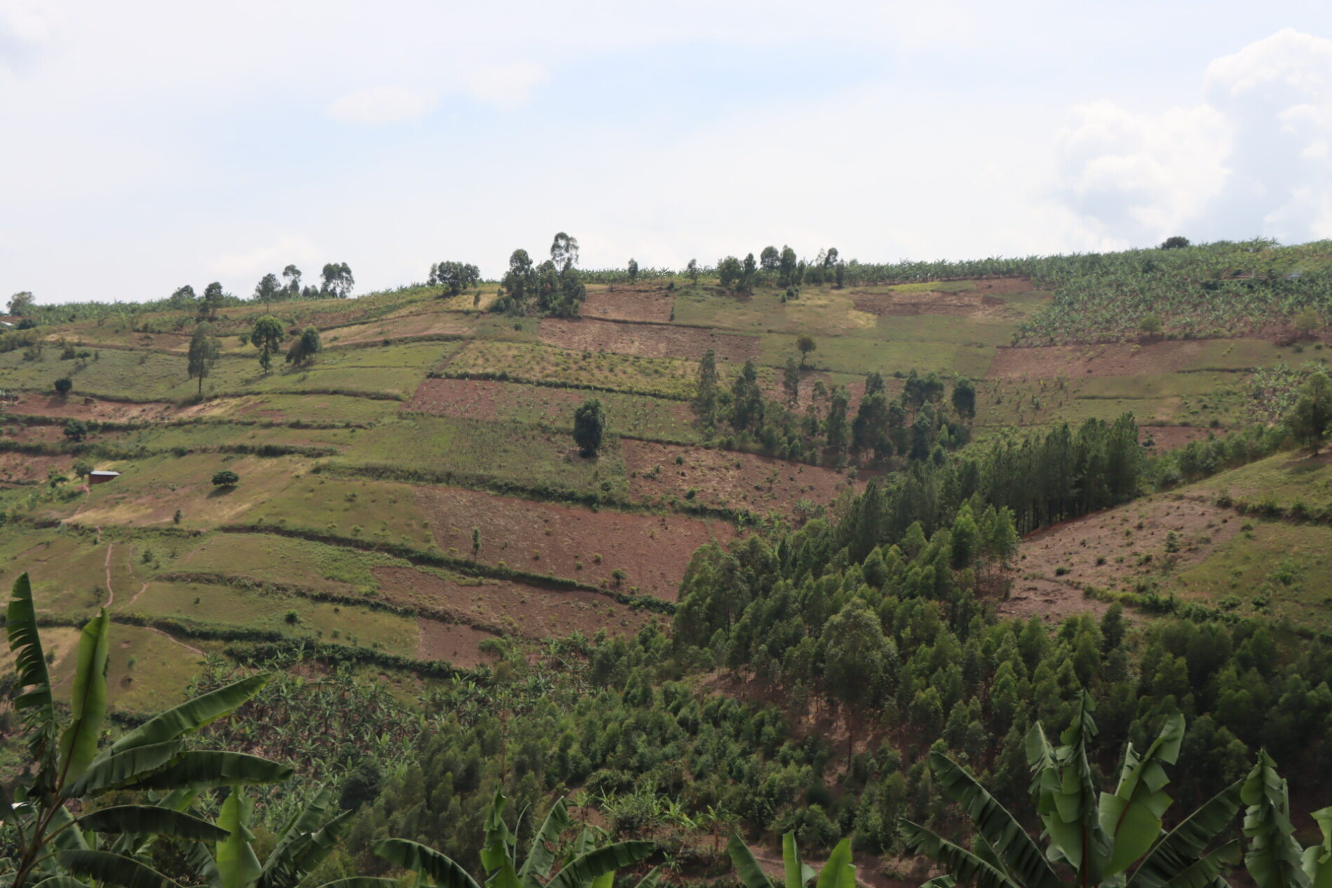Supporting communities in implementing Afforestation and Soil & Water ...